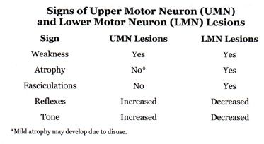 [신경학적평가]상위운동신경과 하위운동신경병변의 평가 : 네이버 블로그