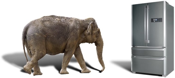 [코끼리를 냉장고에 넣는 방법] 수학 전공에 따라 다르다 : 네이버 블로그