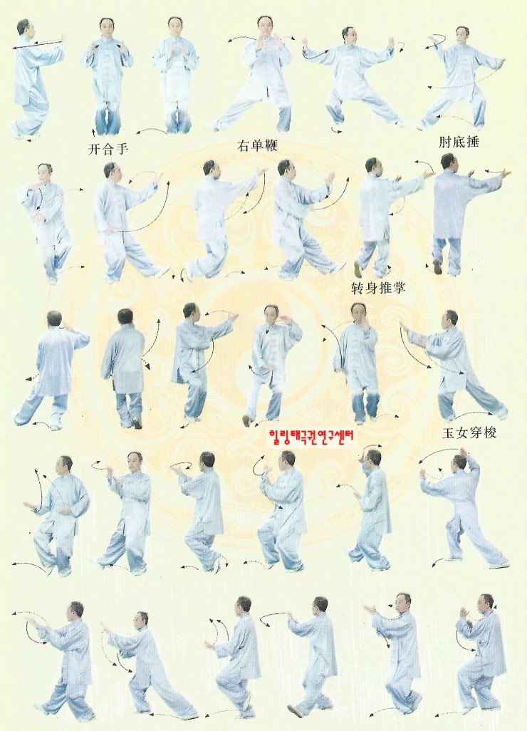 42식태극권 동작명칭 해설 : 네이버 블로그