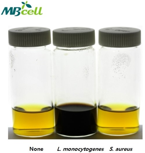 Fraser Listeria Broth MB-F1166 : 네이버 블로그