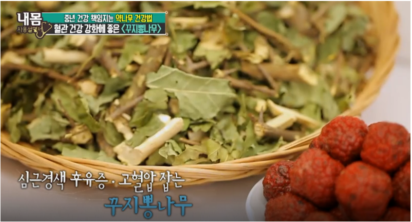 구지뽕 나무 잎 차 열매 효능 먹는 방법 네이버 블로그