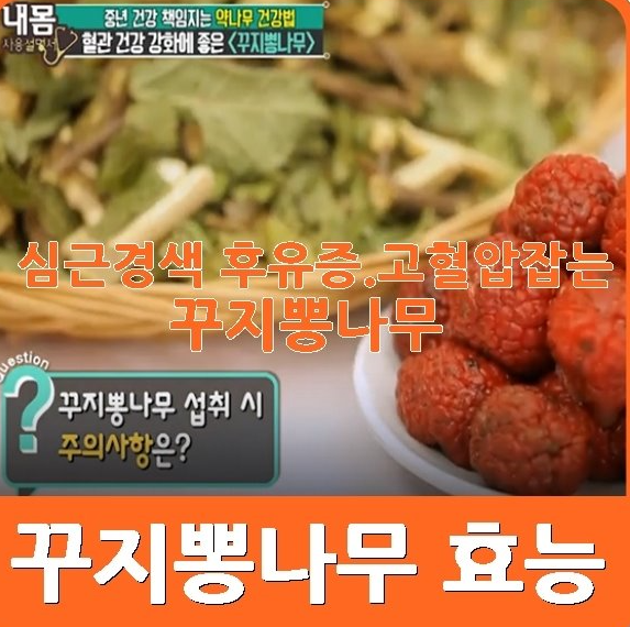 구지뽕 나무 잎 차 열매 효능 먹는 방법 네이버 블로그