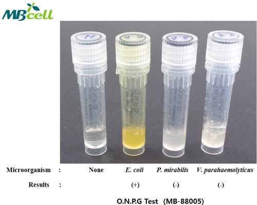 ONPG Broth를 이용한 생화학 테스트 : 네이버 블로그