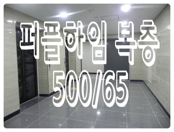 대구 수성구오피스텔 월세 퍼플하임오피스텔 복층오피스텔 네이버 블로그