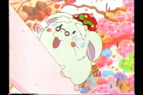 기타 햄스터들 [방가방가 햄토리] : 네이버 블로그