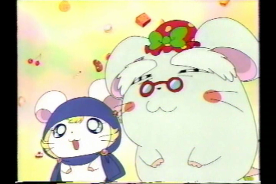 기타 햄스터들 [방가방가 햄토리] : 네이버 블로그