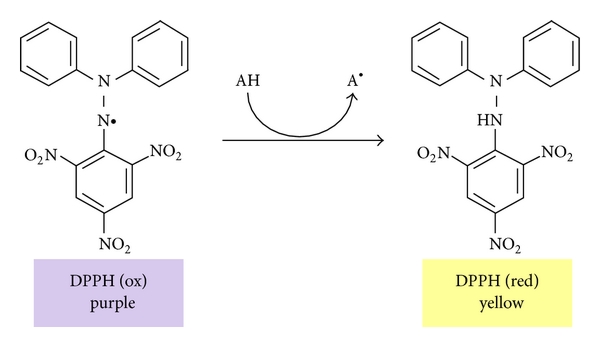 항산화 효능의 측정-DPPH : 네이버 블로그