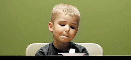 만족지연능력 / 자기조절능력/ 마시멜로 실험/ 만족지연능력을 높여라 : 네이버 블로그