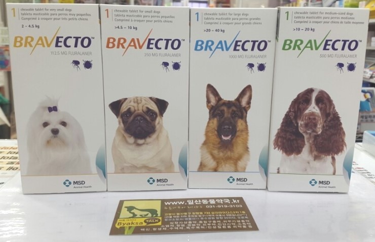 브라벡토 Bravecto 먹는 외부기생충약 진드기벼룩 등 외부구충제 네이버 블로그
