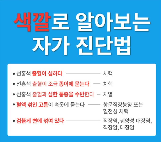 혈변 항문 피가 나오는 이유 네이버 블로그