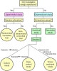 clinical Research clinical-research