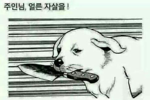좌절 짤 , 우는 짤 : 네이버 블로그