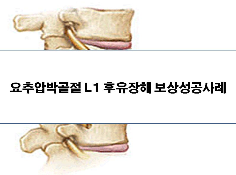 척추압박골절 후유장해 요추압박골절 L1 기형장애 보상성공사례 네이버 블로그