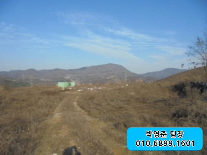 충북진천군묘지경매 충청북도 진천군 진천읍 금암리 4 네이버 블로그