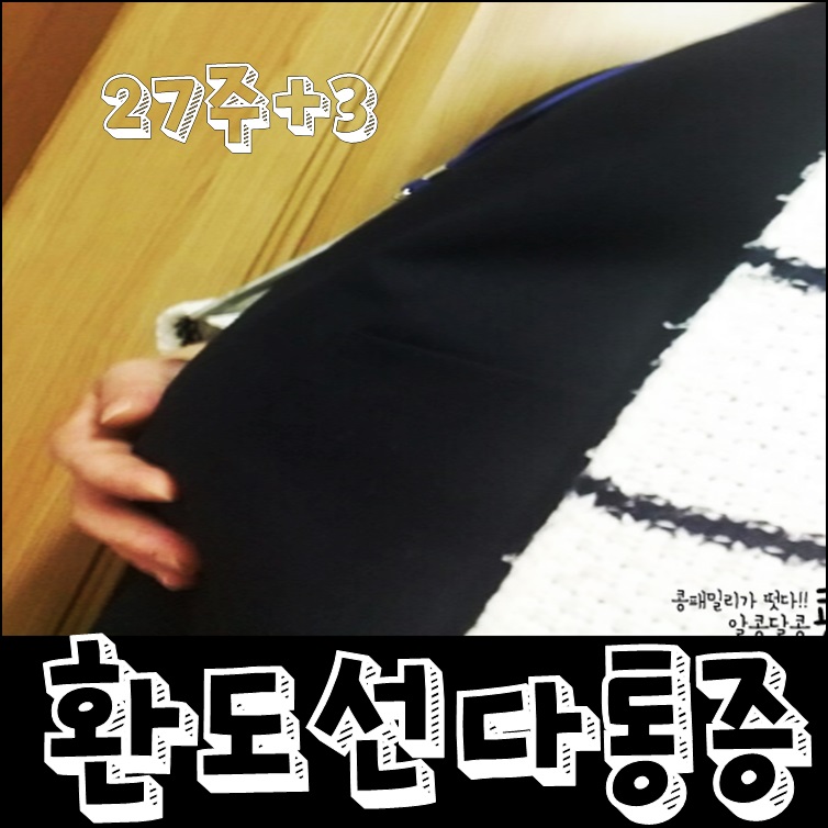 27주 임신초기부터 생긴 임산부 환도선다 골반통증 엉덩이통증 고통스러워ㅠ 네이버 블로그