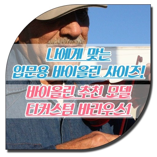 입문용 바이올린 사이즈 초등학생 부터 성인 까지~ 네이버 블로그