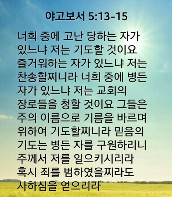 네이버 블로그