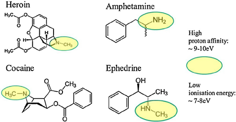TBPE검사란? 마약검사, 채용신체검사, : 네이버 블로그