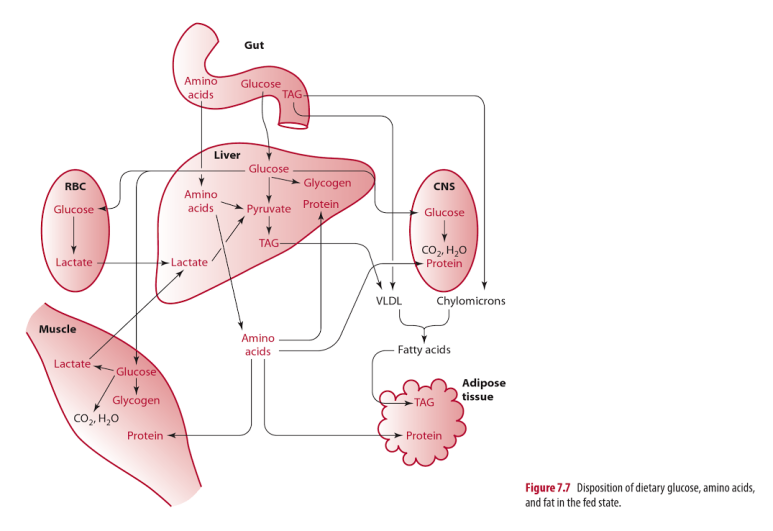 공부하는 블로그 : 네이버 블로그