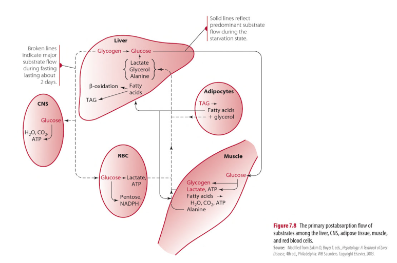 공부하는 블로그 : 네이버 블로그
