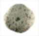 부석 (浮石 pumice) 잔류물 제거 : 네이버 블로그