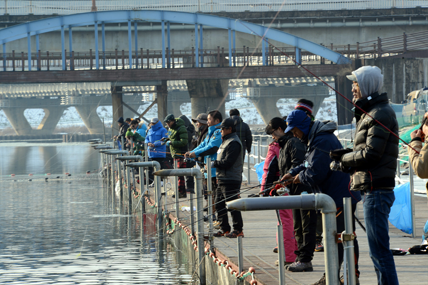 [화천 산천어 축제] 루어낚시 : 네이버 블로그
