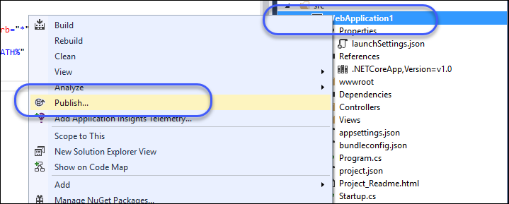 ASP.NET Core Web Application을 IIS에서 호스팅하는 방법 : 네이버 블로그