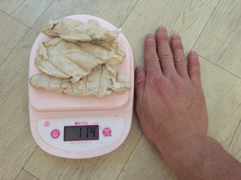 닭가슴살100g칼로리영양성분저울없이측정 : 네이버 블로그