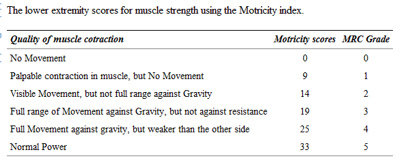 Motricity Index : 네이버 블로그