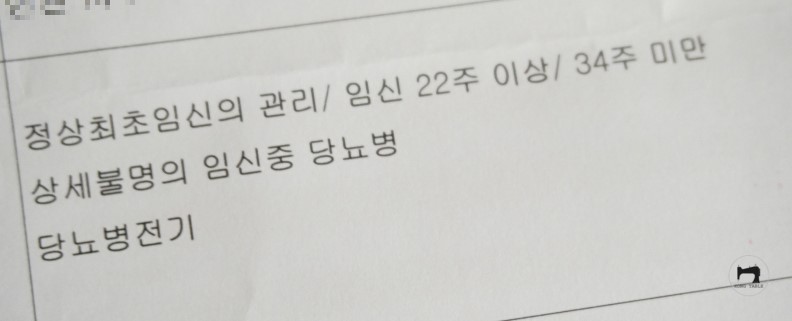 임신성 당뇨병 임당 합병증 정상혈당목표 검단탑병원진료 혈당관리 노코딩원 혈당기 혈당기사용법 임신성당뇨 소모품지원