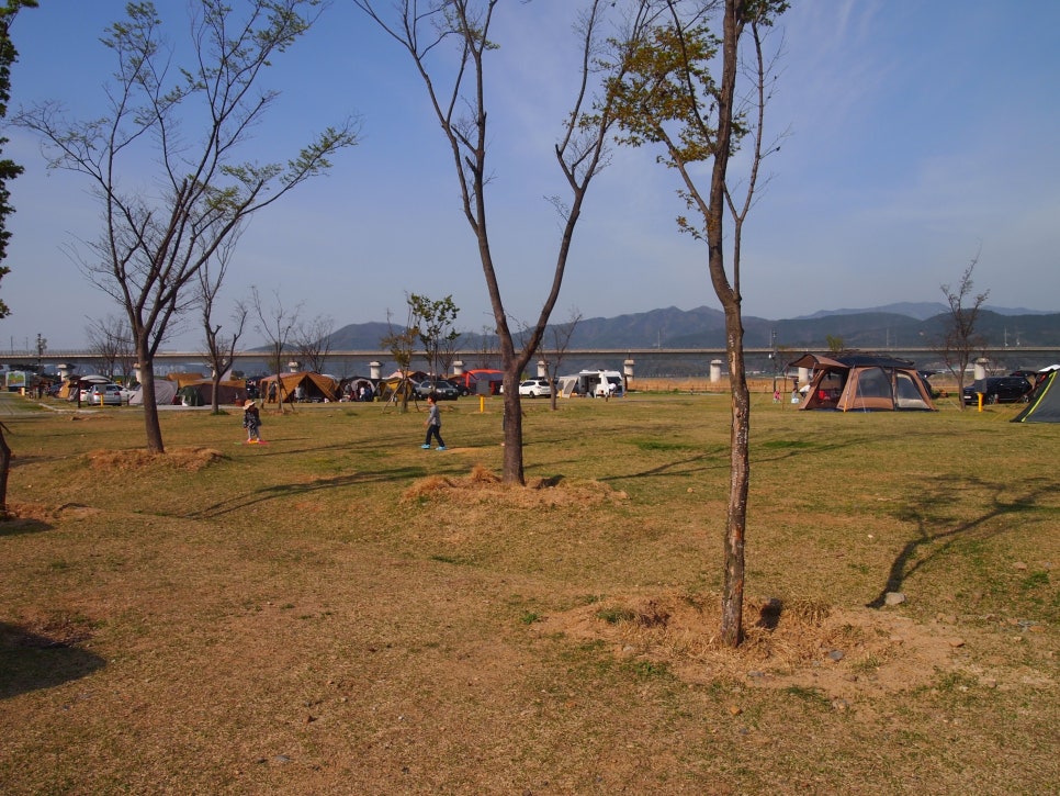 대구근교캠핑장 칠곡보오토캠핑장올해캠핑스타트 네이버 블로그