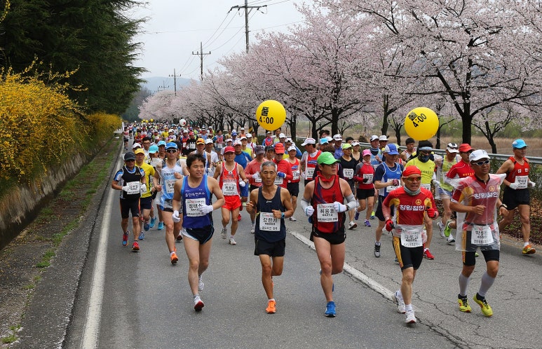 2017 합천벚꽃마라톤 대회 : 네이버 블로그