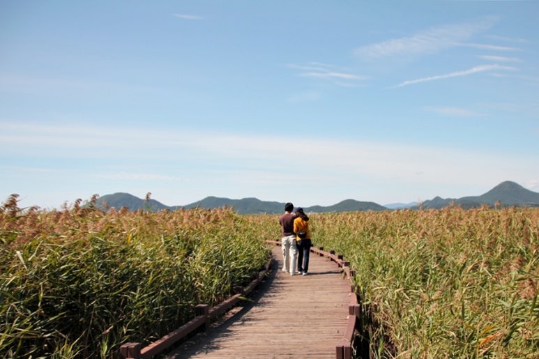 148)소장님과 노래불러요-박우철의 '정답게 가는 길' : 네이버 블로그