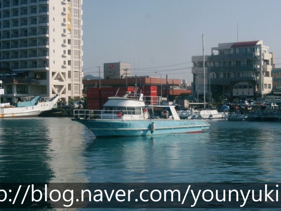 Okinawa Blue Dive : 네이버 블로그