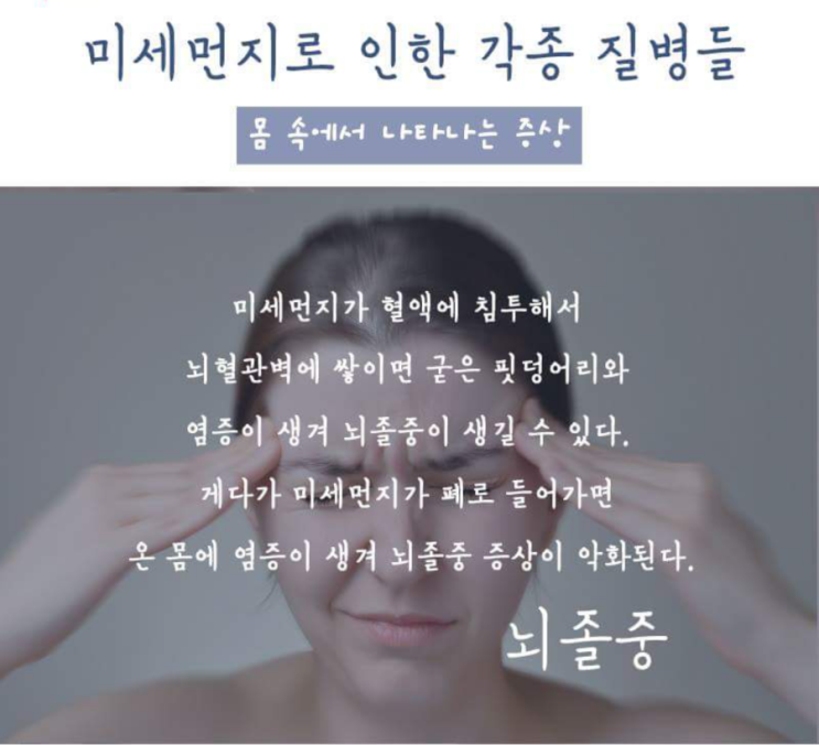 미세먼지로 인한 질병 네이버 블로그