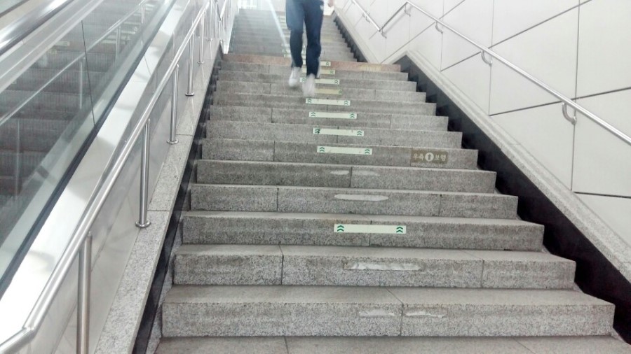 인문학 탐방단 엘리베이터 대신 계단을 이용해요 일주일 동안 녹색생활 하기 네이버 블로그