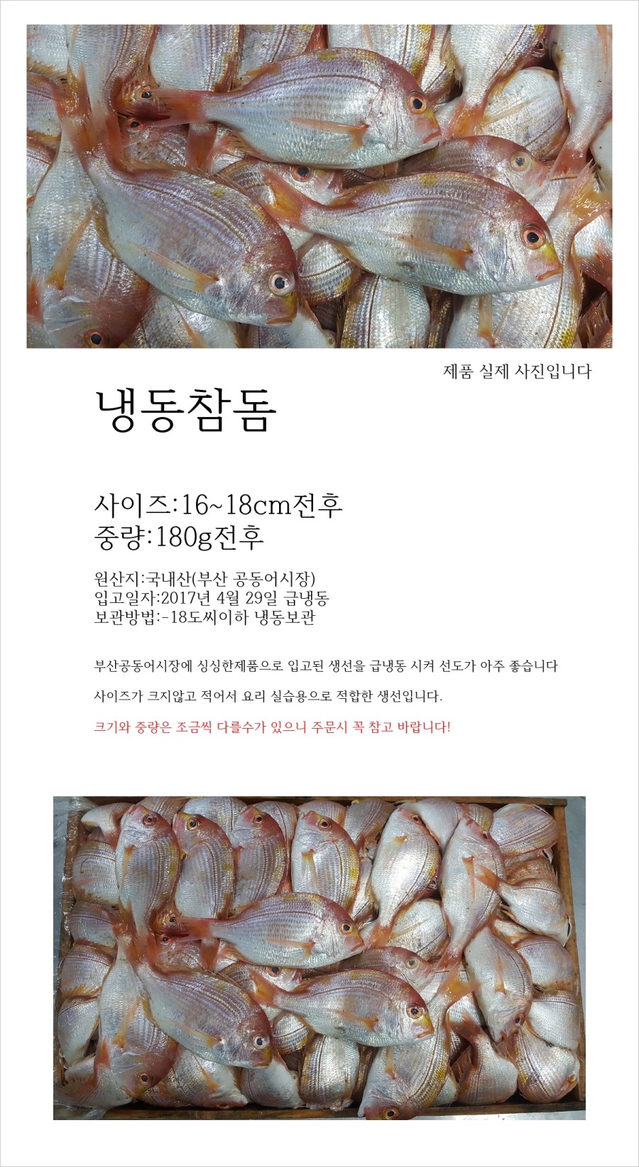 도미냉동도미냉동참돔요리연습용생선 네이버 블로그