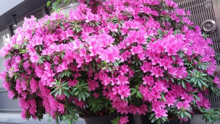 잘 살펴보고 회개하기 : 네이버 블로그