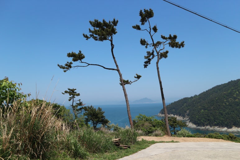통영-연화도 여행코스 / 맛집 : 네이버 블로그