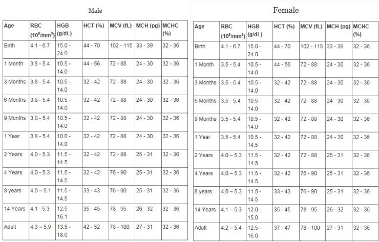 Pediatrics/PD 1 - vital sign RR BP HR, CBC, ABGA normal range 소아 정상치 ...