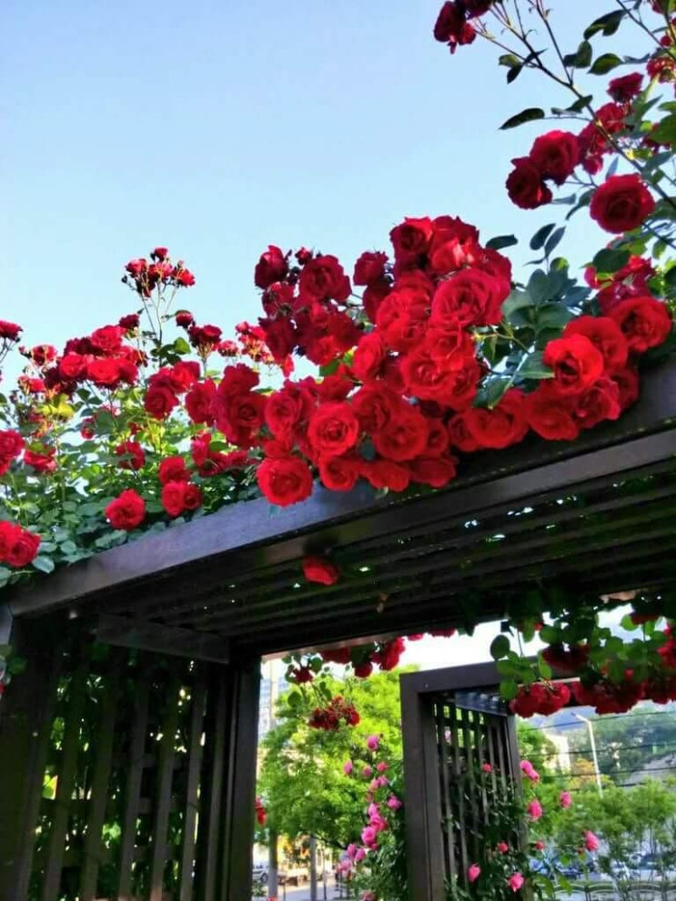 이익을 좇아 움직이는 세상 인심 : 네이버 블로그