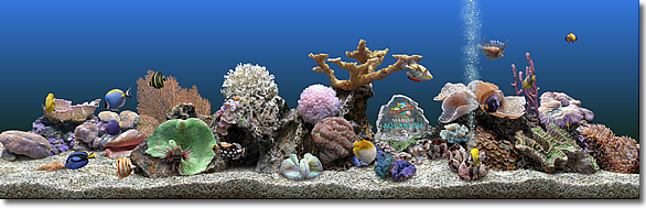 SereneScreen Marine Aquarium 3 - Y506.3.3.6041 (서린스크린 마린 아쿠아리움 3 화면보호기 ...