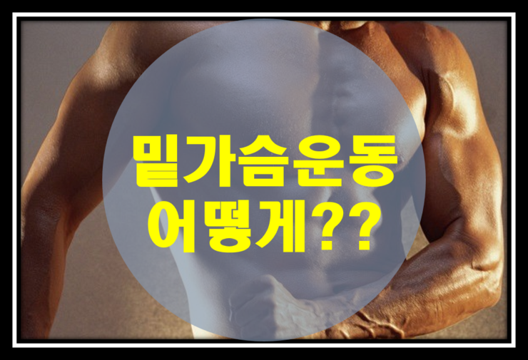 밑가슴운동 어떻게 키우나 네이버 블로그