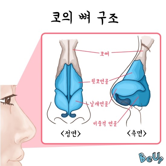 웹툰 문형진 원장의 알기 쉬운 코성형 제 1화 코의 구조 네이버 블로그