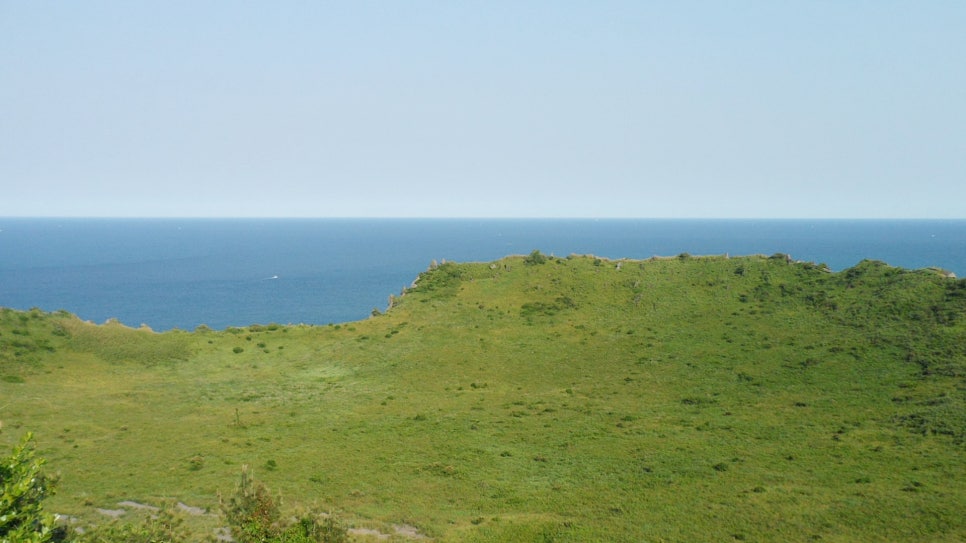 노란색 롱 랩스커트 코디 : 네이버 블로그