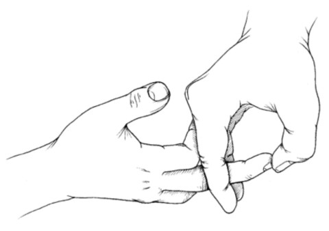 호프만 반사(Hoffman reflex) : 네이버 블로그