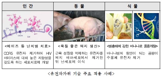 크리스퍼 유전자가위 기술 한국 어디쯤 왔나 네이버 블로그