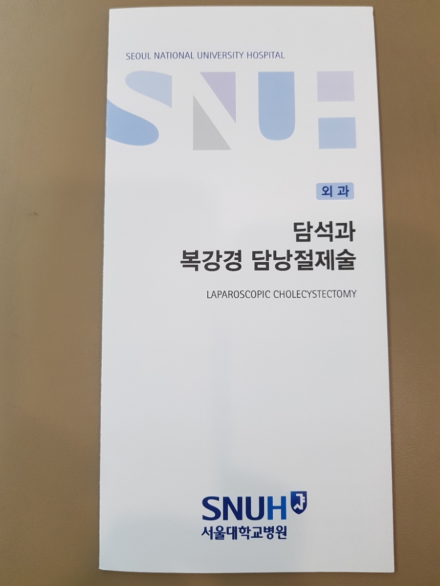 복강경 담낭절제술 담석수술에 대한 이모저모 진단에서 수술전 검사까지 병원비 공유 네이버 블로그