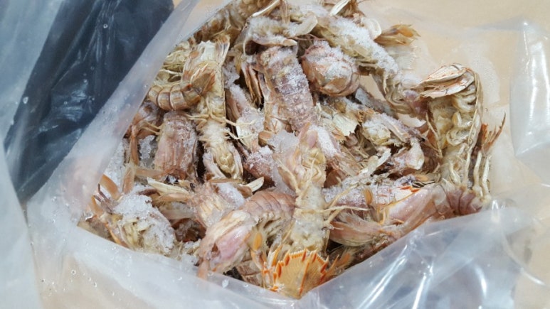 어제블로그 : 네이버 블로그