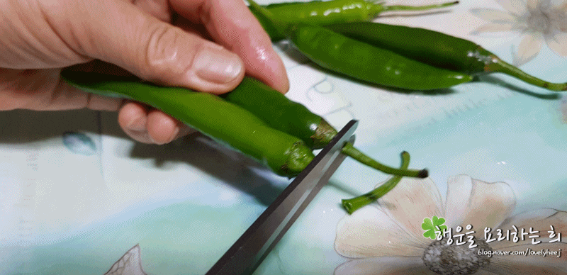 고추장아찌 황금레시피 고추장아찌 쉽게 만드는법 네이버 블로그
